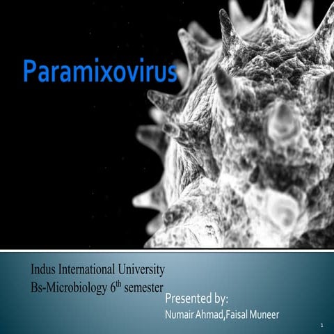 Paramyxovirus | PPT
