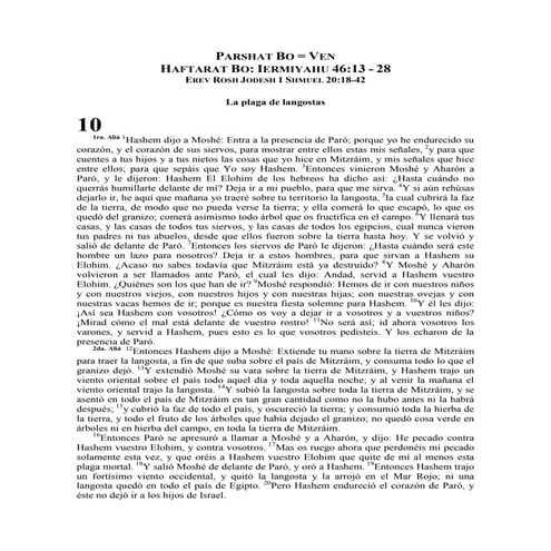 Parshat bo | PDF
