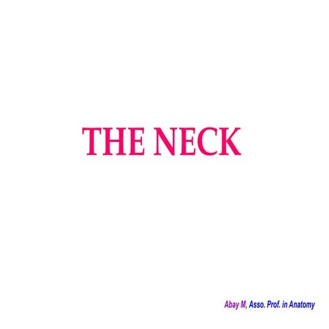 Part-VIIII Triangles of the Neck anatomy | PPT