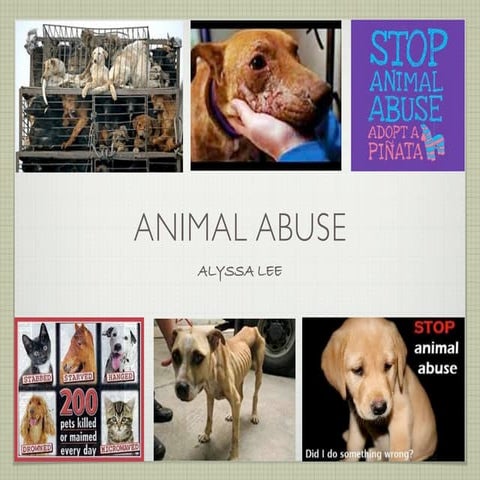 Maltrato animal | DOCX
