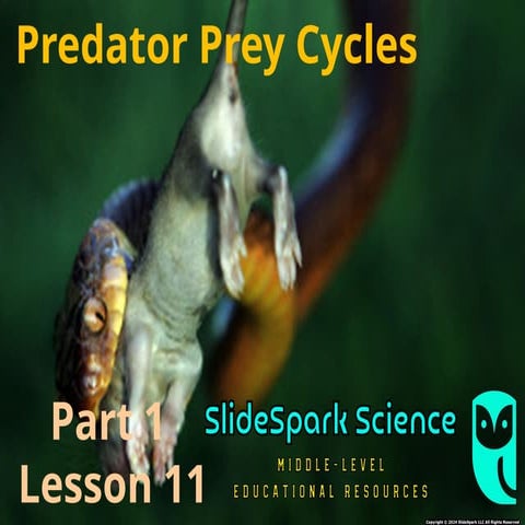 Predator Prey Middle School Lesson for Ecology Food Web Unit | PPTX