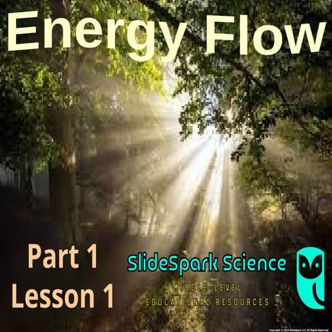 Ecology Unit Lesson about Energy Flow, Food Chains, Making a terrarium ...