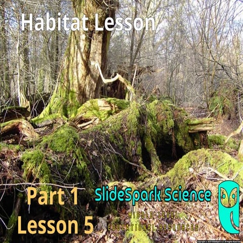 Habitat Lesson for Middle School Ecology Science Curriculum | PPTX