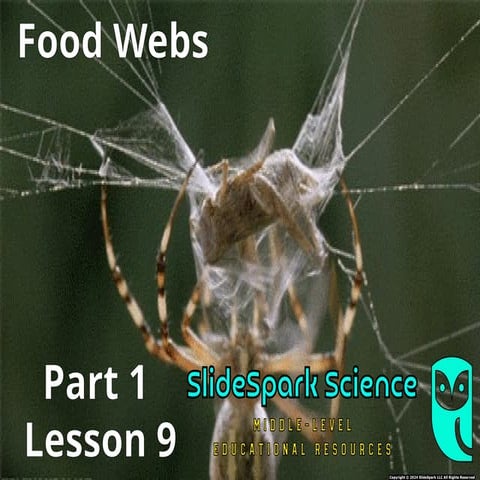 Food Webs Lesson for Middle School Ecology Science Class | PPTX