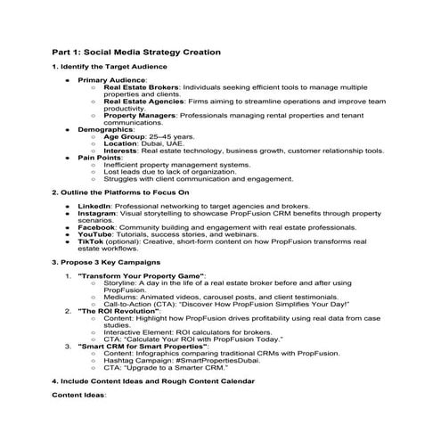 Social Media Strategy Creation Documents | PDF