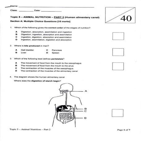 M&C Digestion Assignment Part 2 | PDF