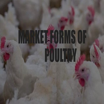 PPT on market forms of poultry.pptx