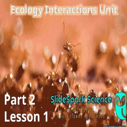 Relative Abundance and Species Diversity Lesson Slideshow from the ...