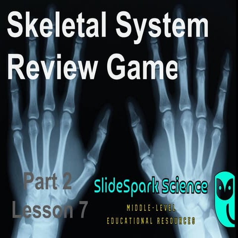 Skeletal System Quiz Game, Skeletal System Lesson for Middle School ...