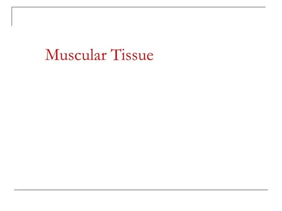 muscle structure_and_function | PPT | Biological Sciences | Science