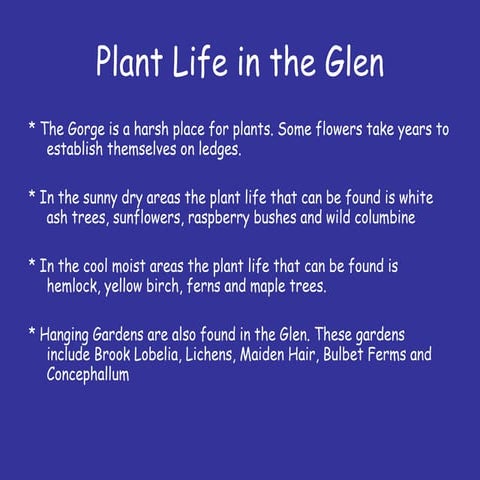 Part 3 plant and animal life | PPT