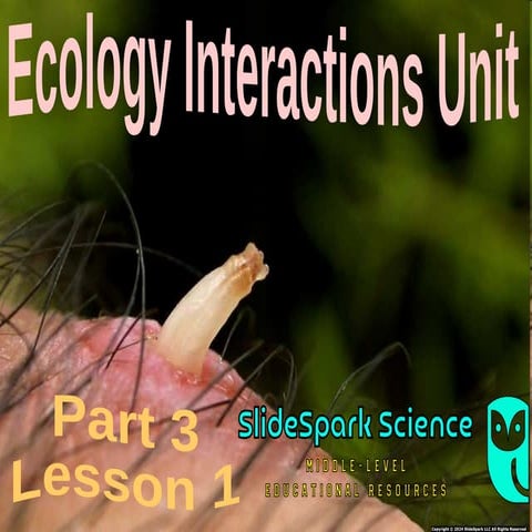 Symbiosis Lesson, Parasitism, Middle Level Science Slideshow from ...