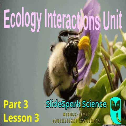 Symbiosis Lesson, Mutualism, Types of Mutualisms, Science Lesson from ...
