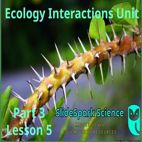 Plant Defenses Lesson, Middle School Science Lesson, Plant and Animal ...