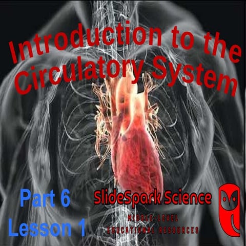 Intro to the Circulatory System Lesson, Circulatory System Lesson ...