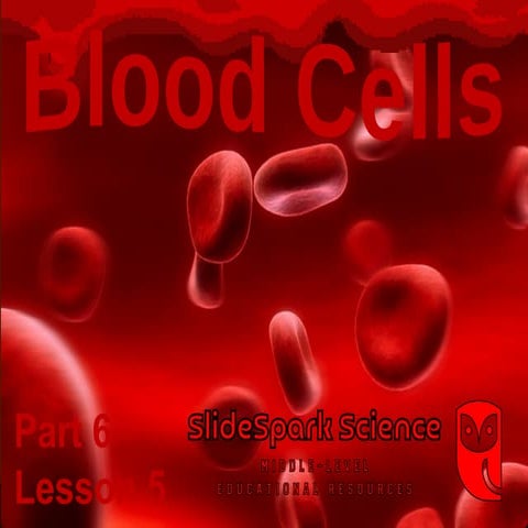 Blood Cells Lesson Slideshow, Middle School Science Lesson, SlideSpark ...