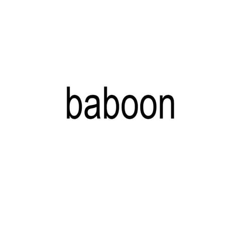 Flashcards of wild animals for little babies | PPT