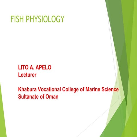 Fish morphology - fish fins | PPTX