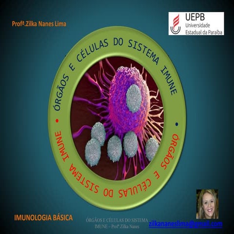 Parte_4_ImunologiaBásica_Órgãos_e_Células_do_Sistema_Imune [Profª.Zilka ...