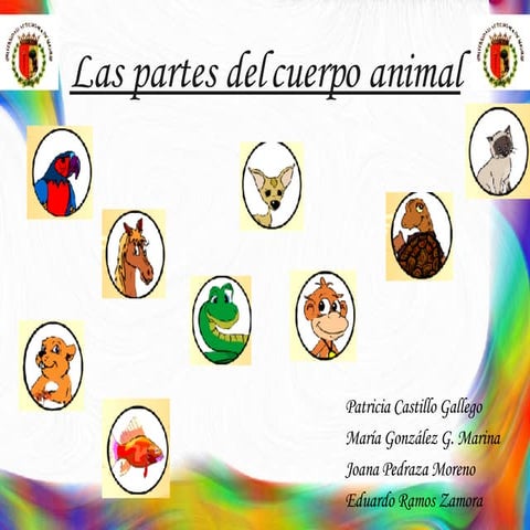 Partes Del Cuerpo Animal | PPS