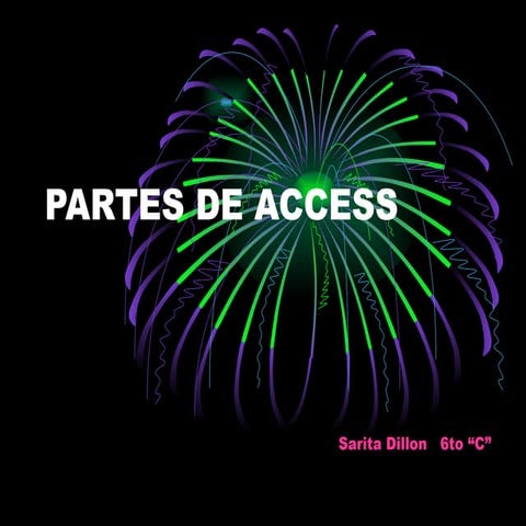 Partes de access | PPT
