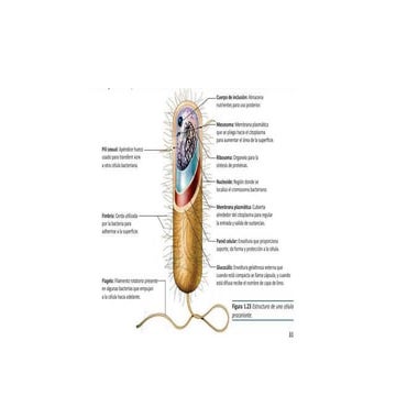 PARTES DE BACTERIA.pptx
