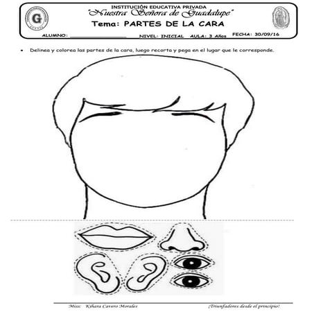 Partes de la cara 2 | PDF
