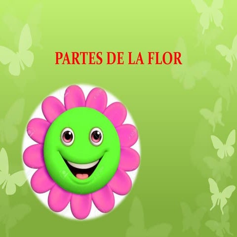 Organografia de la flor | PPTX