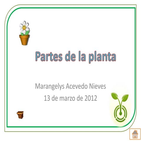Partes de la planta 2conreferencias3 | PPTX