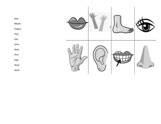 My senses flashcards | PPTX