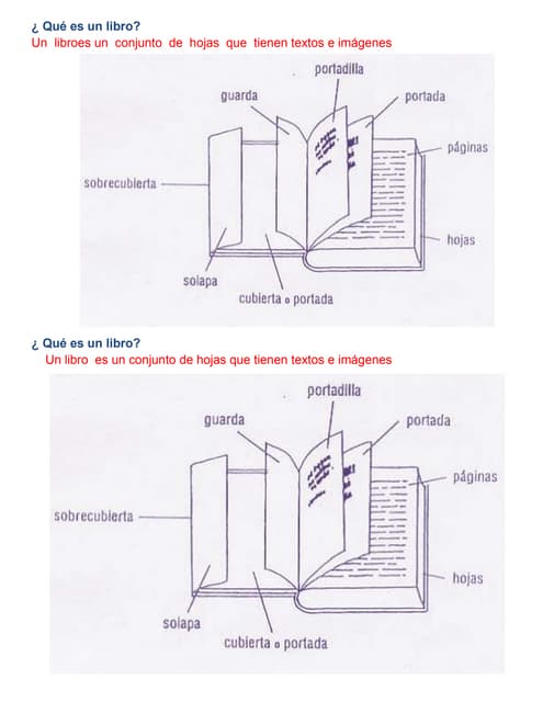 Partes del Libro | PPT