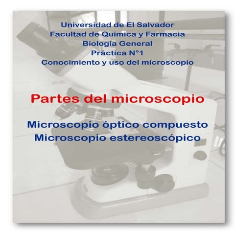Partes Del Microscopio Qué Es Un Microscopio Confocal? Kalstein