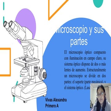 Partes Del Microscopio Qué Es Un Microscopio Confocal? Kalstein