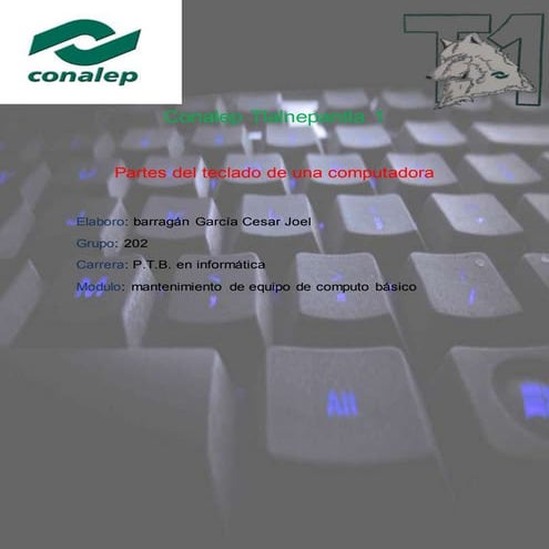 Difference between ref and out parameters | PDF