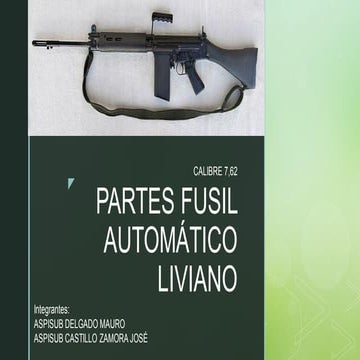 FN FAL 7,62 | PDF