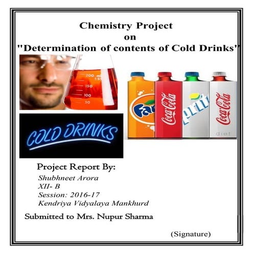 chemistry-project.pdf project files class 11 | PDF
