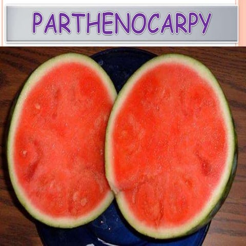 Parthenocarpy | PPTX