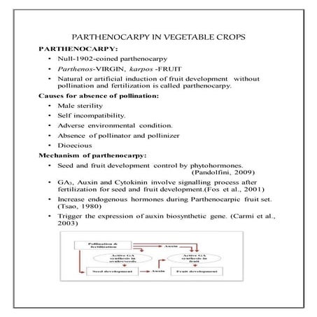 Parthenocarpy word | DOCX