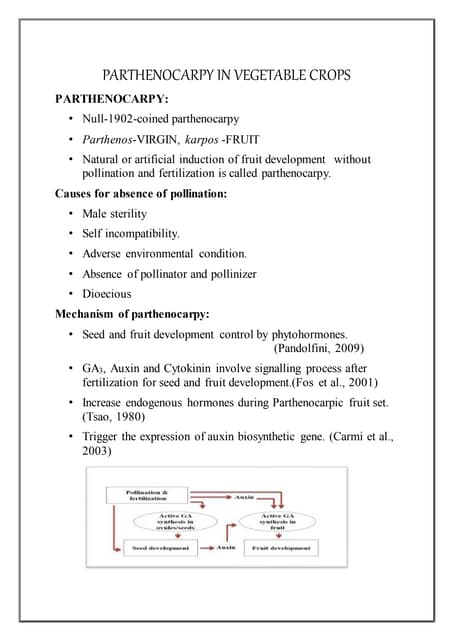 Parthenocarpy | PPT