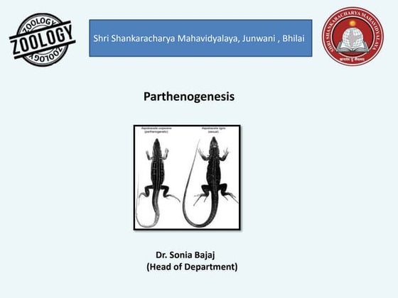 Development of frog/ embryogenesis | PPT