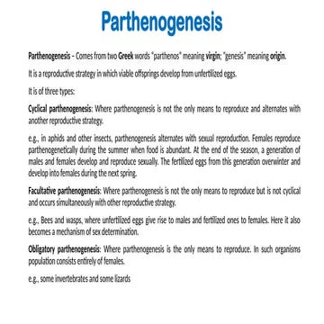 Parthenogenesis about amoeba and prophase of gastrula.pptx