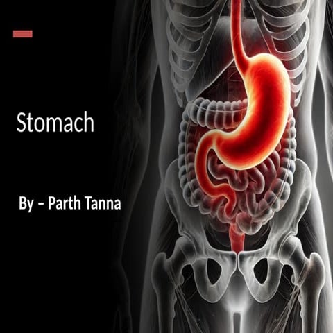 parth stomach anatomy of stomach by JJAMC collage | PPTX