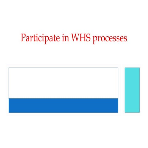 WHS_Induction_Training_Section3.pptx business | PPTX