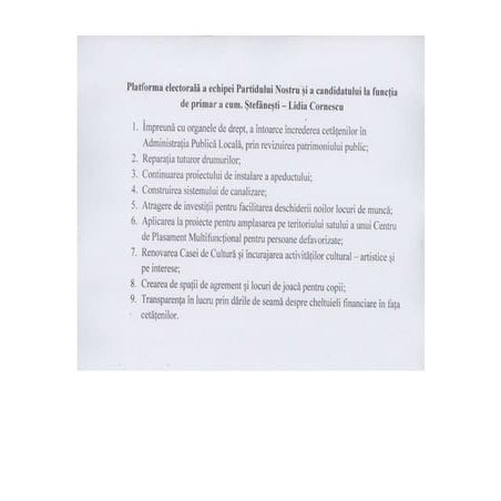 Partidul Politic Partidul Nostru - Lidia Cornescu | PDF