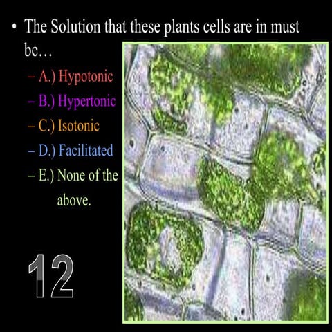 Cell Transport, Osmosis, Diffusion, Active Transport PowerPoint Review ...