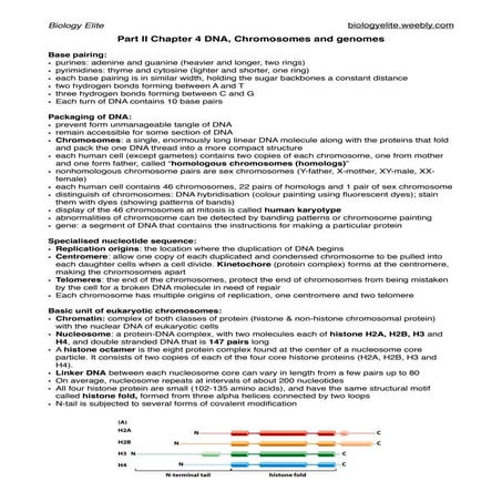 DNA, chromosomes and genomes Notes | PDF