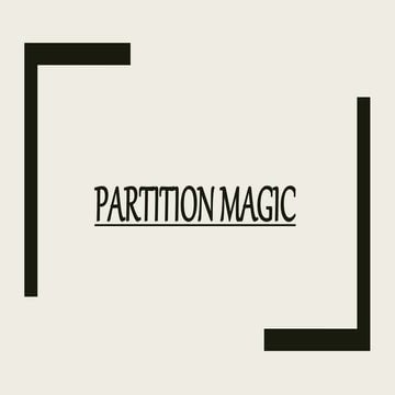 Partition Magic Logo Partition Magic Small Business Server.