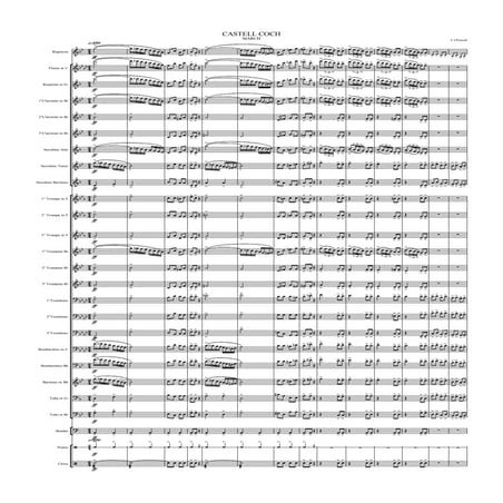 40 percussive arts society international drum rudiments | PDF