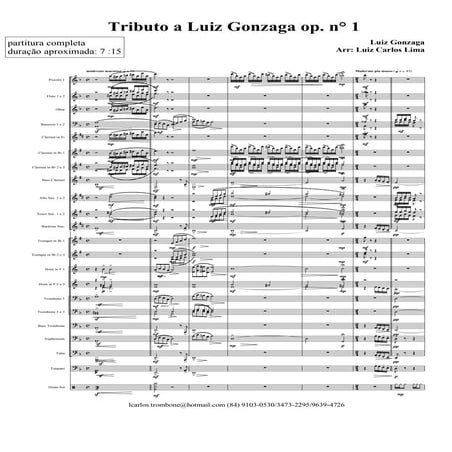 tributo a luiz gonzaga op. n 1 | PDF