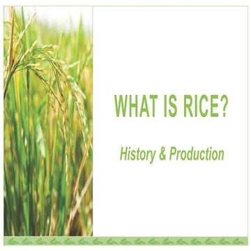 Rice – Logistics.pdf